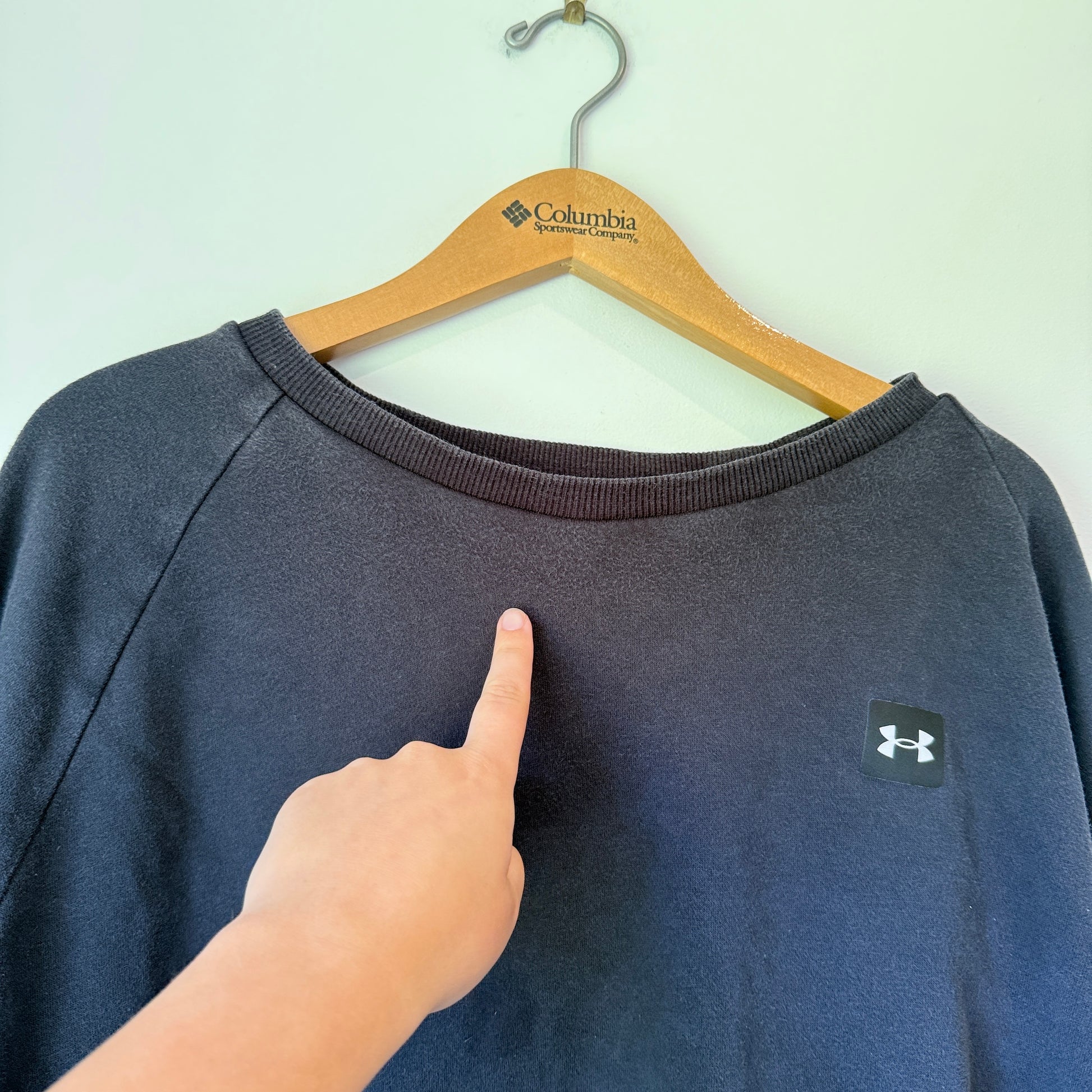 Kiwi of the Great Forest by Dave Gunson – The Value Junction